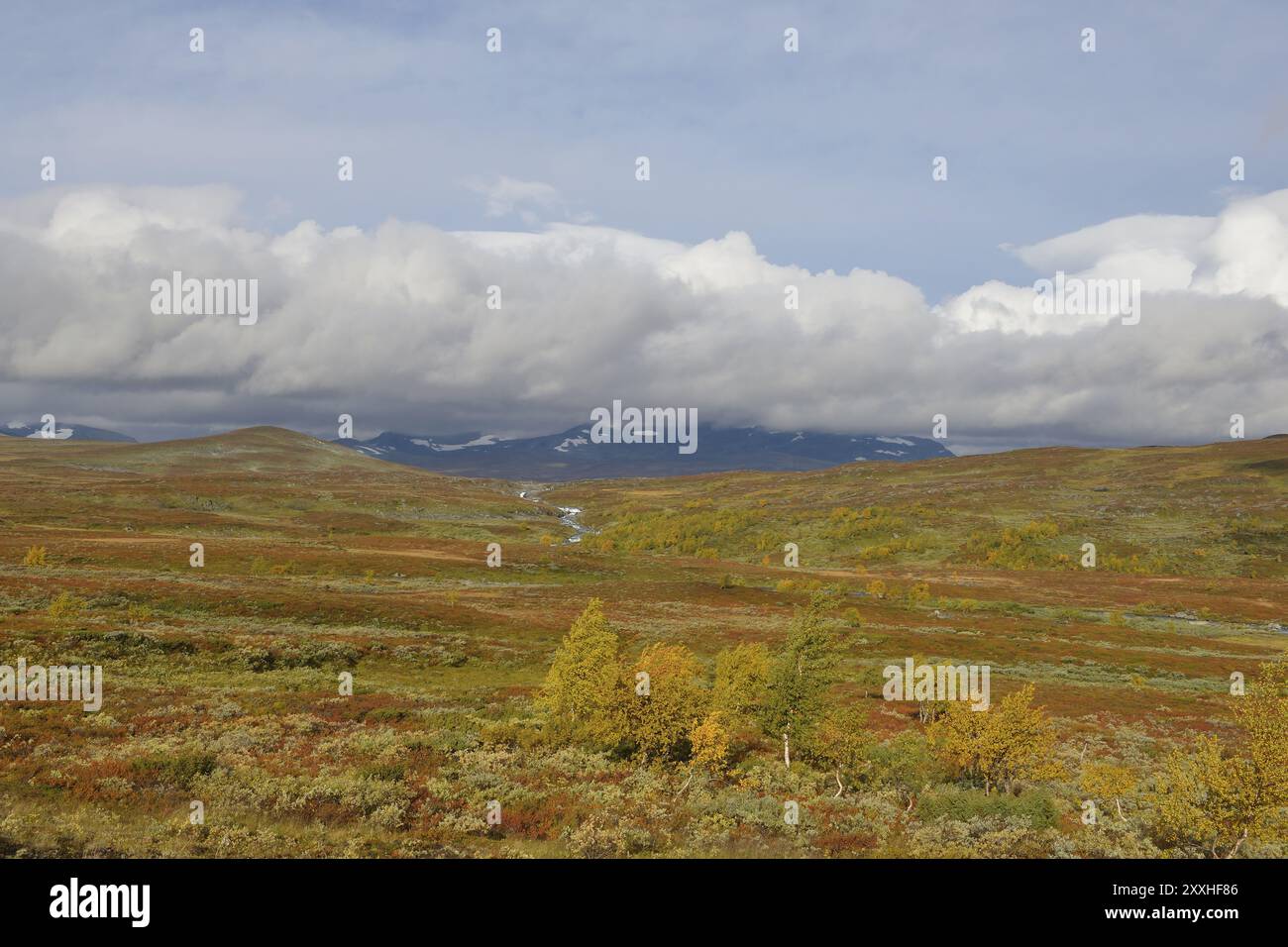 Swedish norwegian border hi-res stock photography and images - Alamy