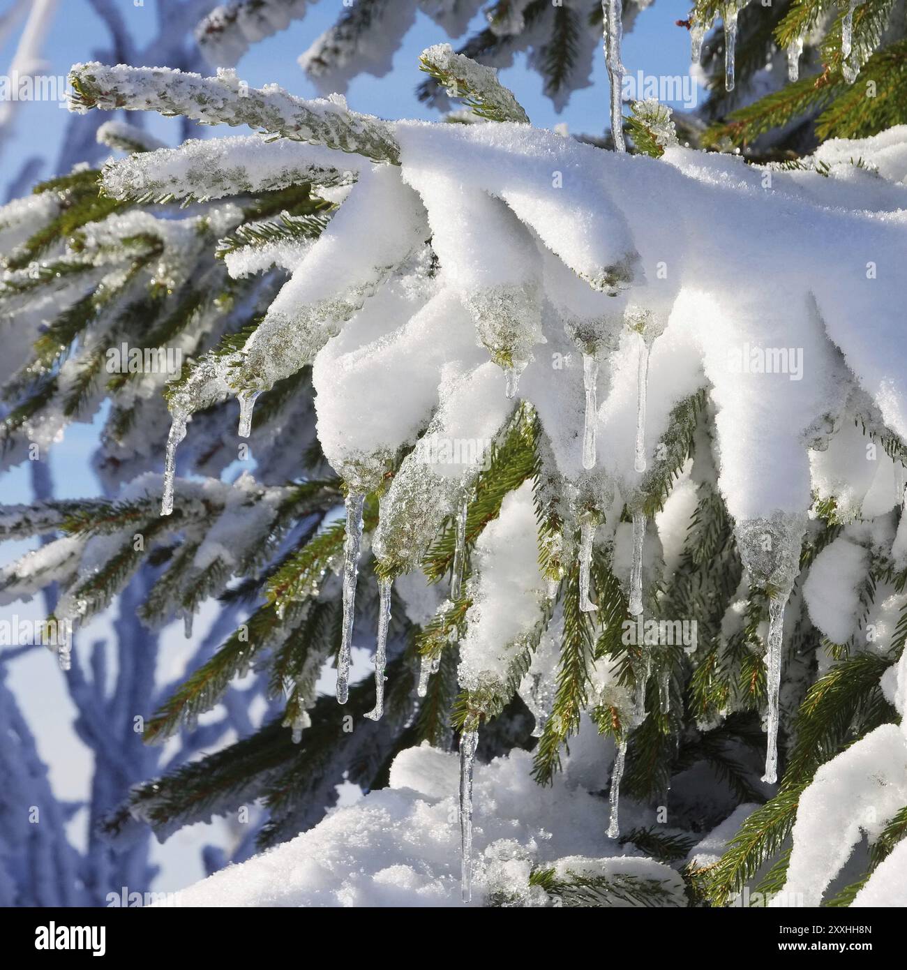 Section 04 hi-res stock photography and images - Alamy