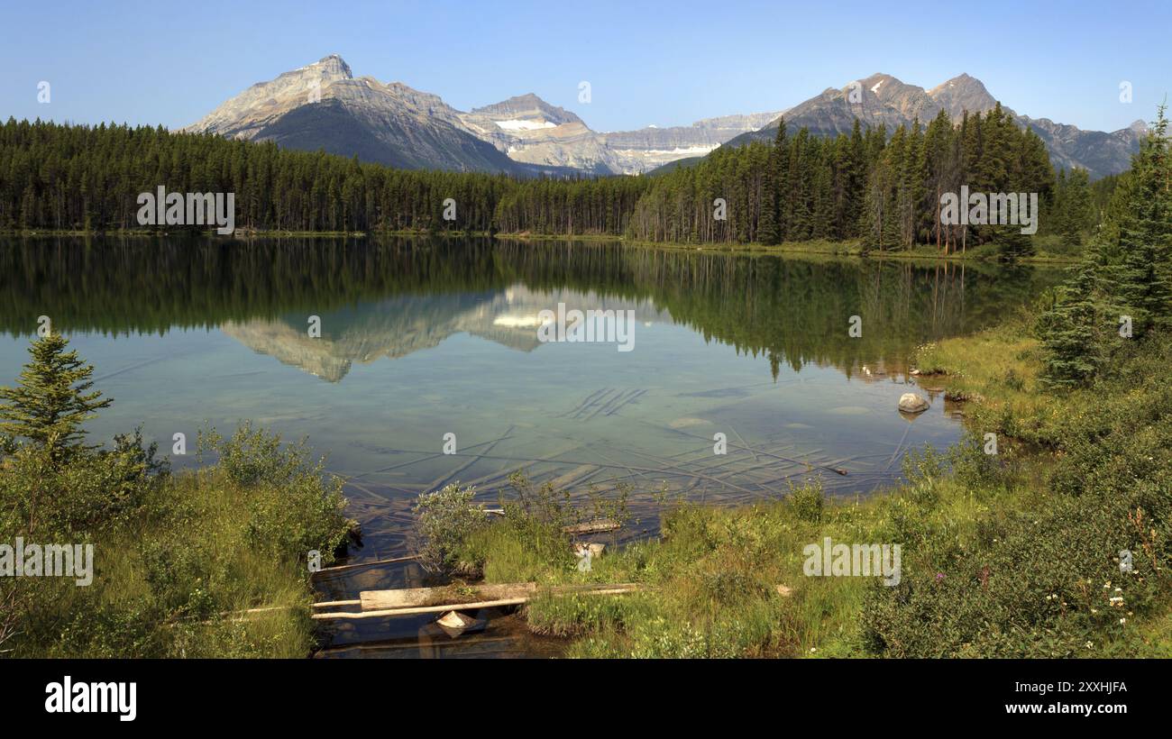 Herbert Lake in Banff National Park in Alberta Canada Stock Photo - Alamy