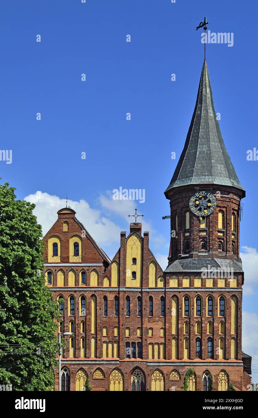 Koenigsberg Cathedral, Gothic temple of the 14th century. The symbol of ...