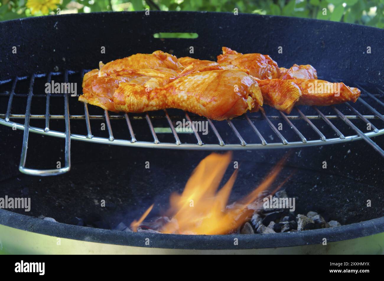 Dish grilled chicken meat hi-res stock photography and images - Alamy