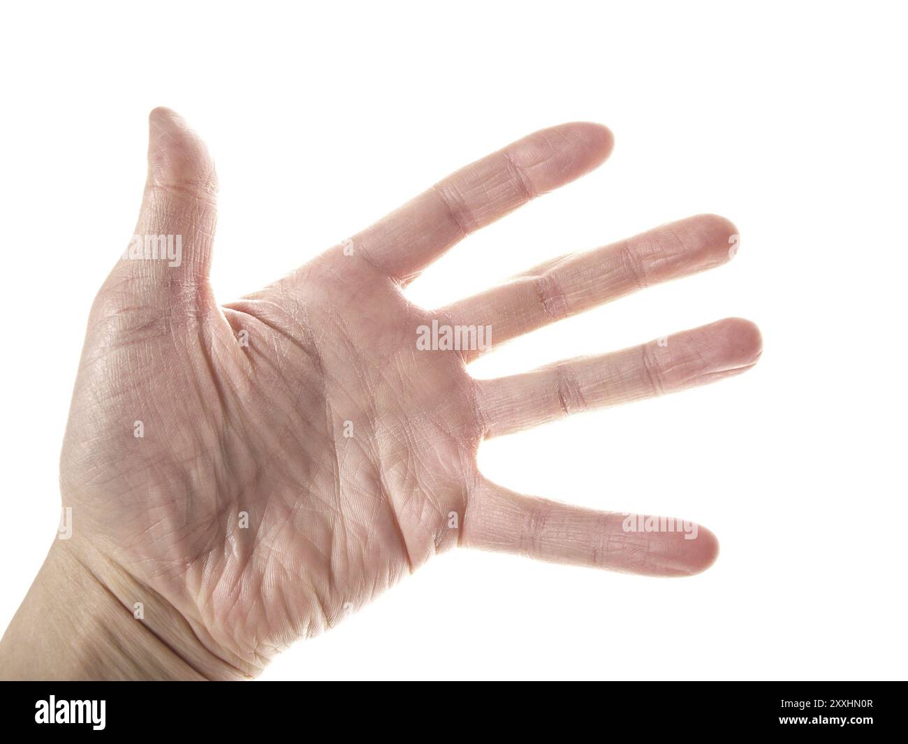 Open left hand, isolated towards white background Stock Photo - Alamy