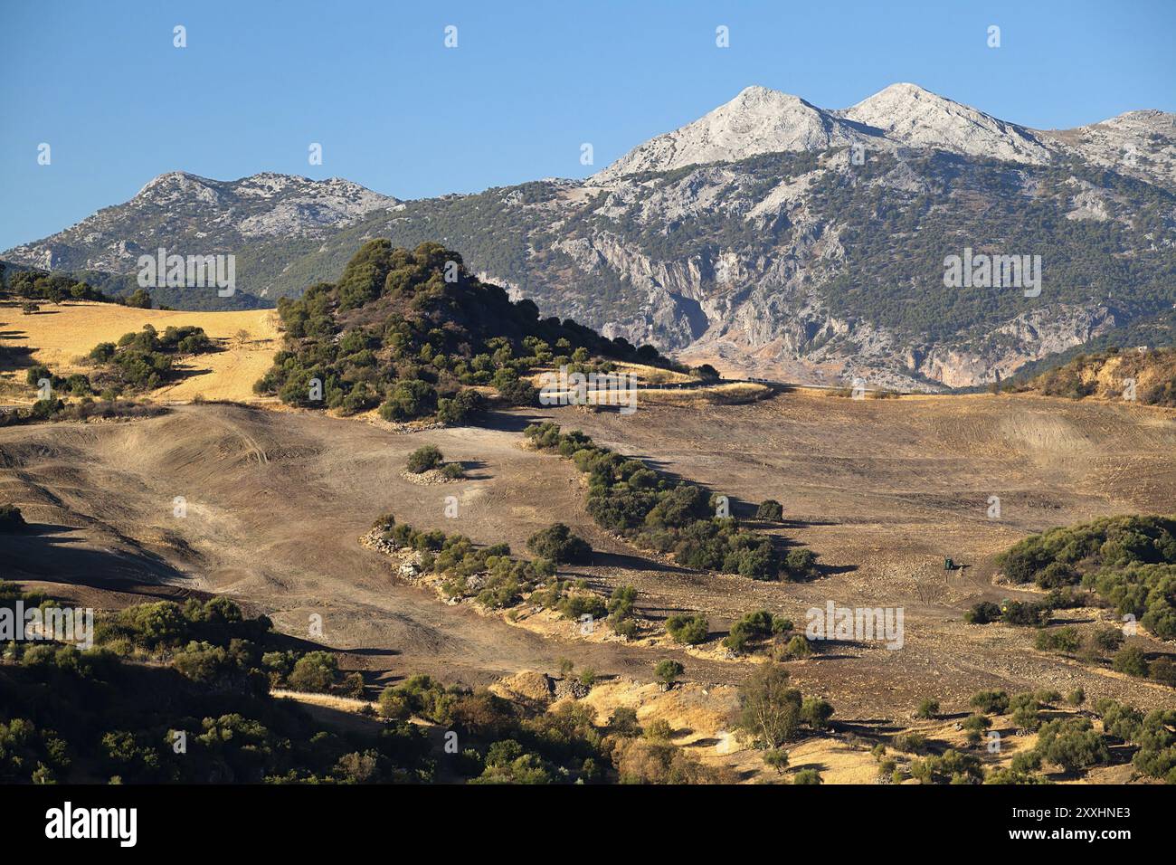 Mountains and fields in Andalucia, region Montecorto, Spain, Europe ...