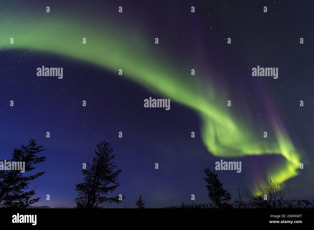 Northern Lights (Aurora borealis) over snowy landscape, Gaellivare ...