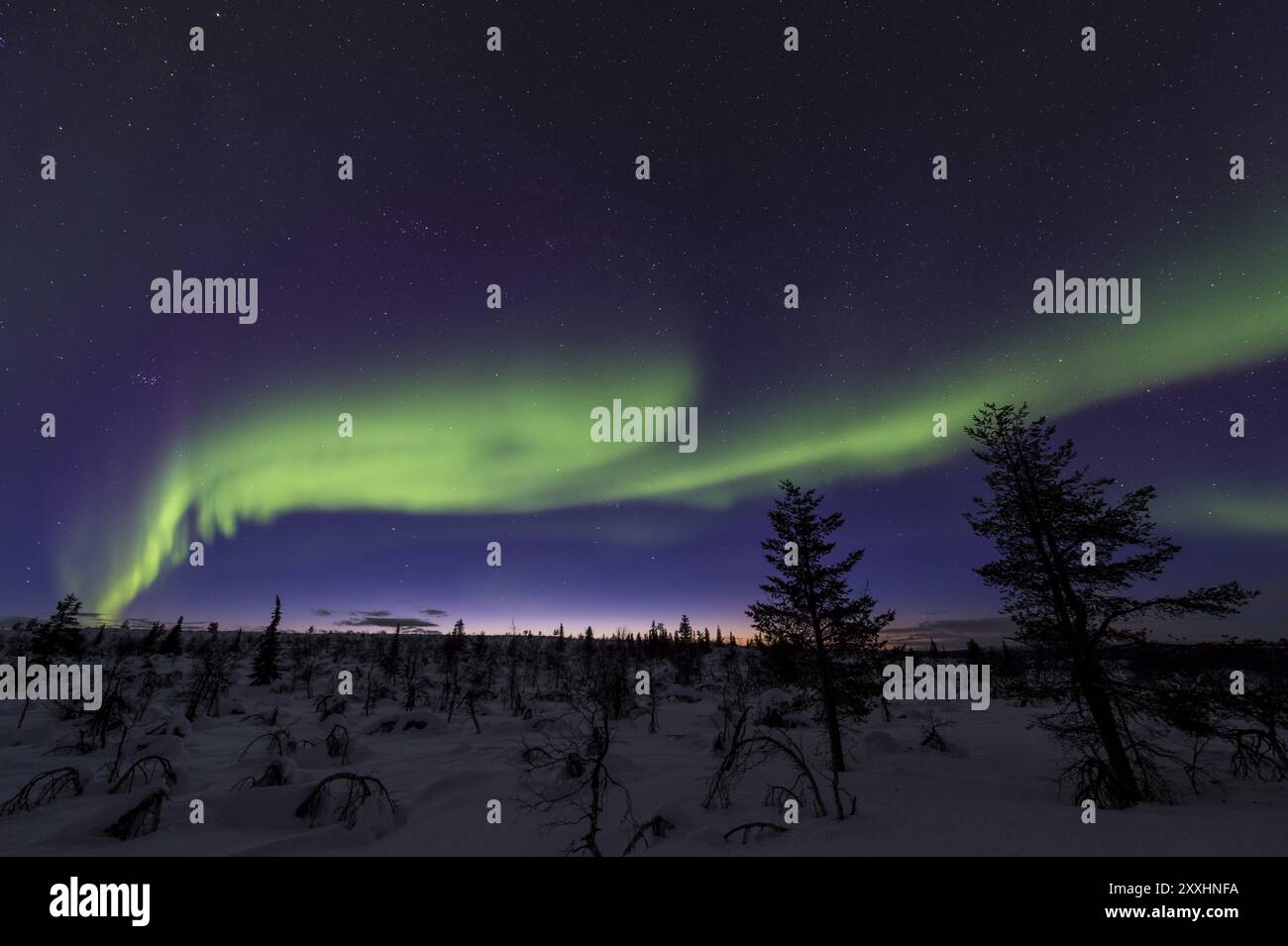 Northern Lights (Aurora borealis) over snowy landscape, Gaellivare ...
