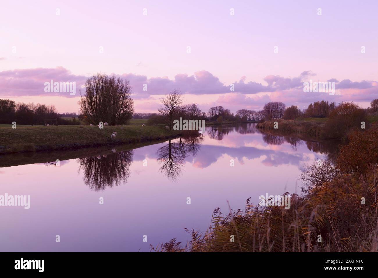 Pink sunset over canal in rural farmland Stock Photo - Alamy