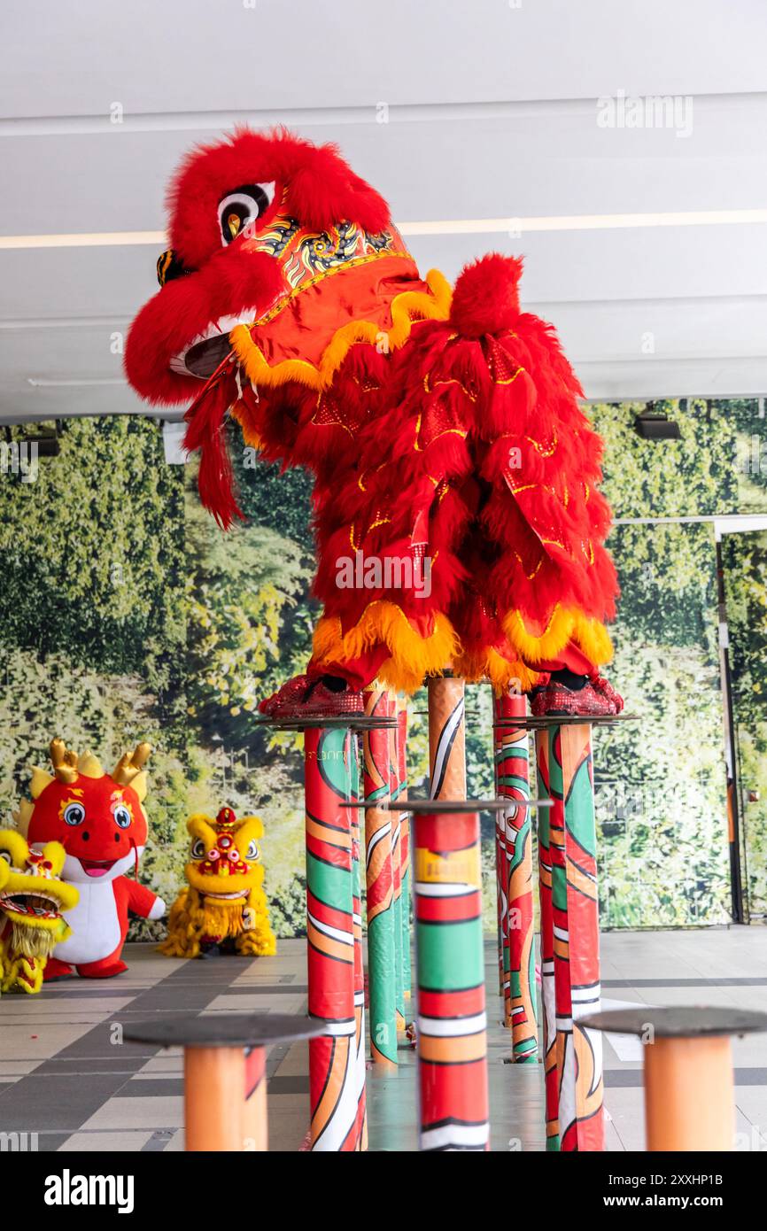 Two lions performing dances on pillars as part of Chinese cultural ...