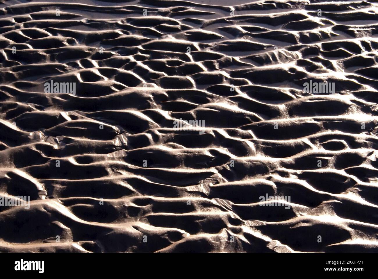 Wadden sea tidelands coast hi-res stock photography and images - Alamy