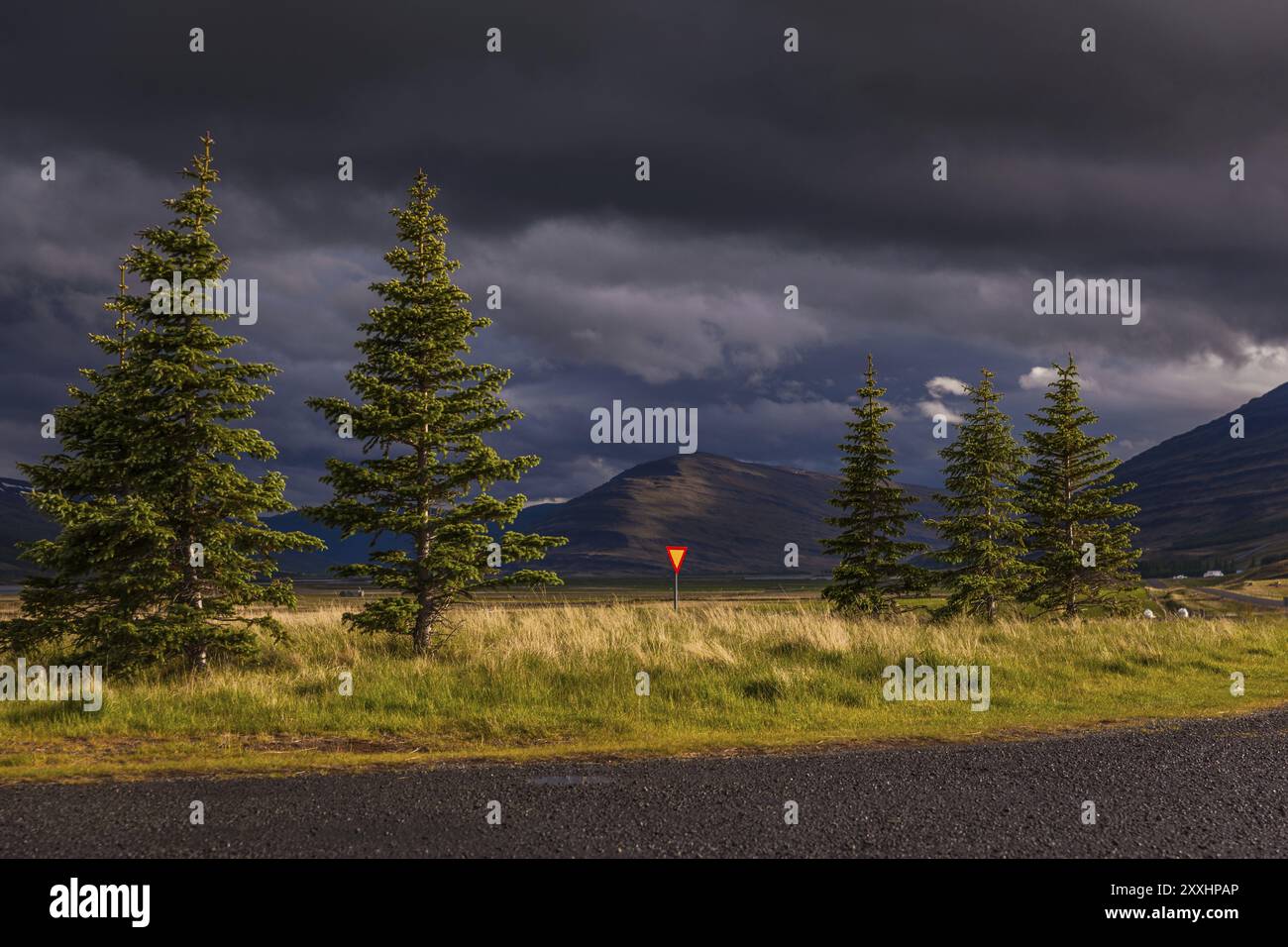 A yellow traffic sign stands between trees on Iceland Stock Photo - Alamy