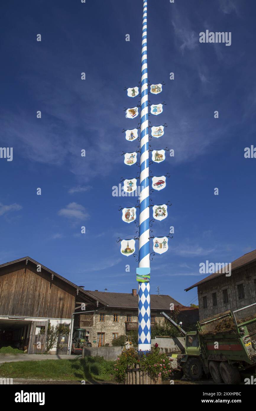Traditional maypole on a farm, Bavaria Stock Photo - Alamy