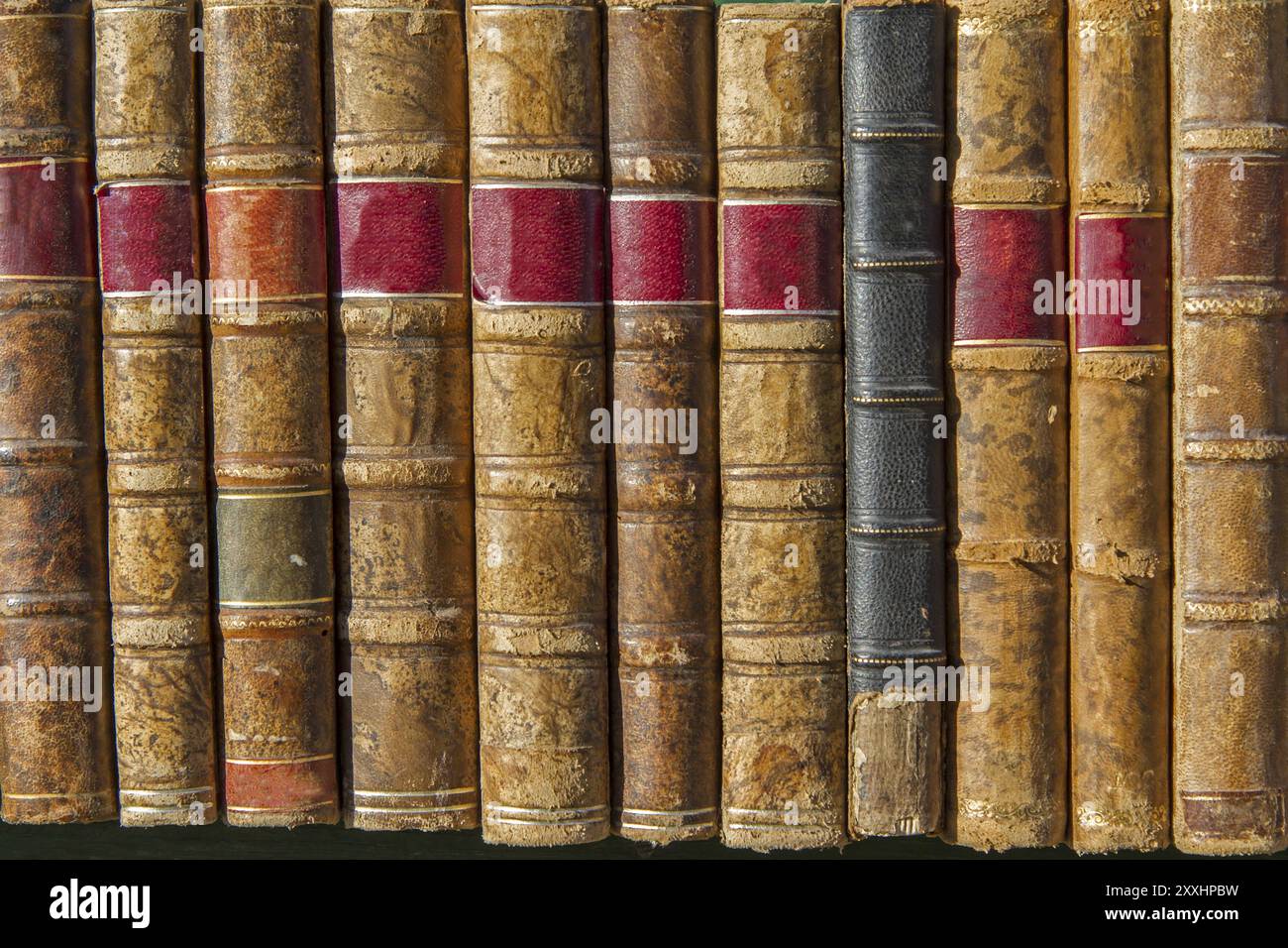Several old books next to each other on the shelf Stock Photo - Alamy