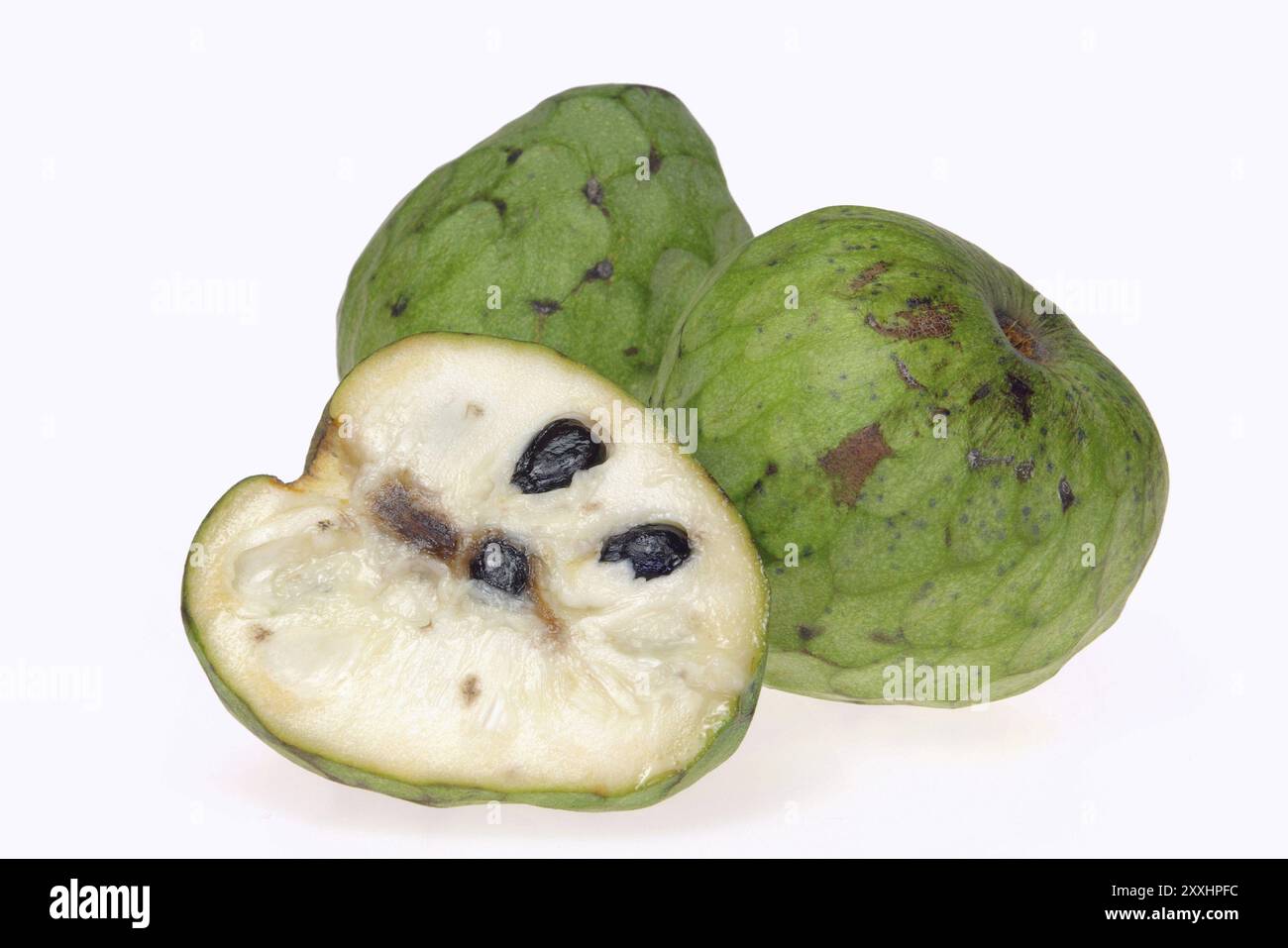 Cherimoya fruit tree hi-res stock photography and images - Alamy