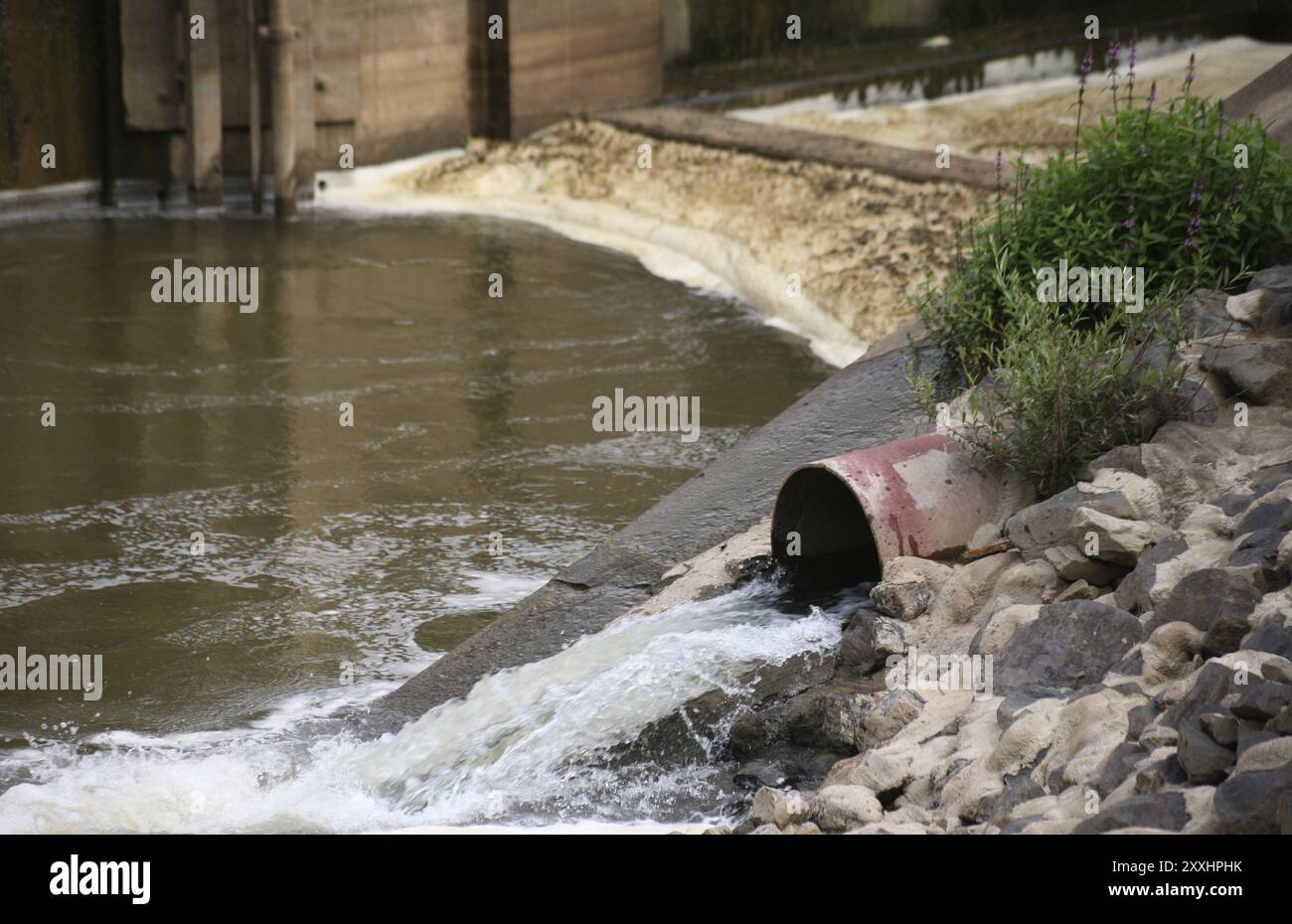 Discharge into a river Stock Photo - Alamy