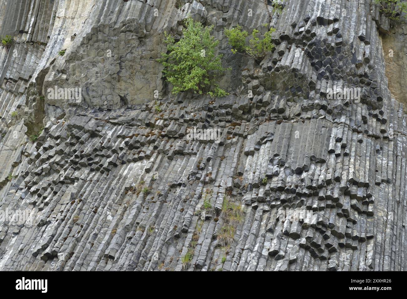 The basalt quarry of Zlaty vrch (Goldberg), Czech Republic.basalt rock ...