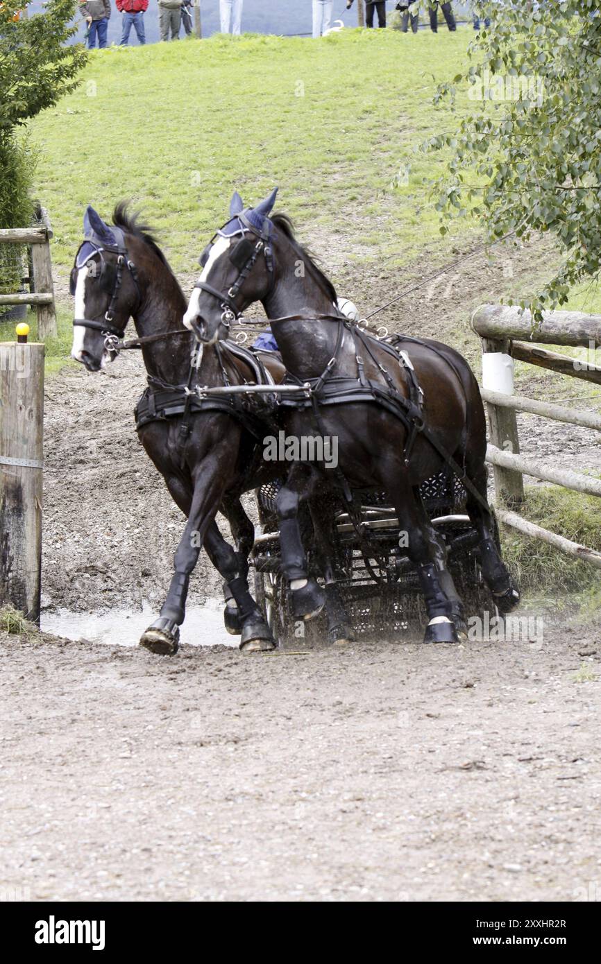 Pairs at a driving competition Stock Photo - Alamy