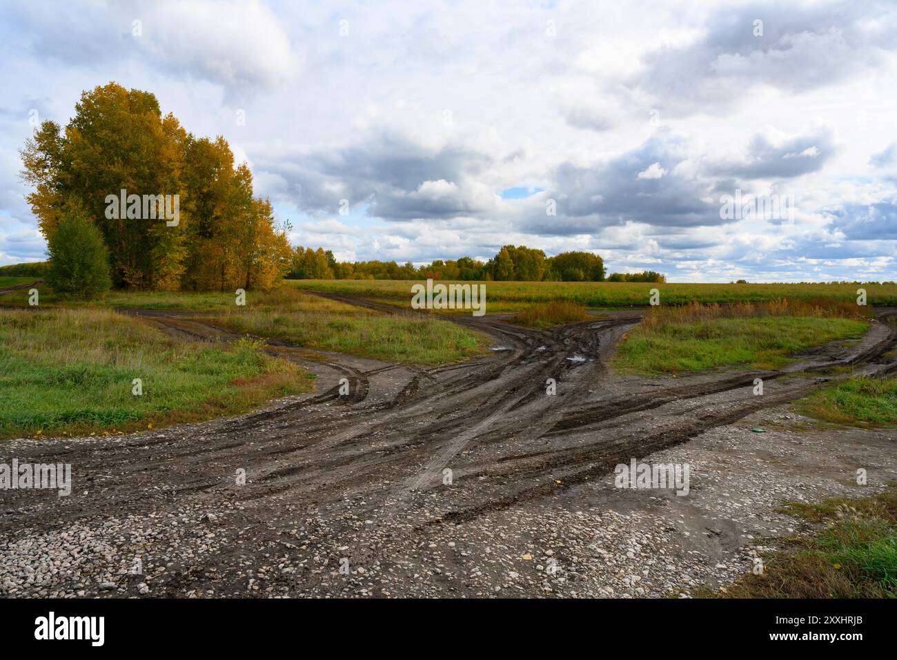 Fork of dirt roads with winding tracks of cars in an autumn field under ...
