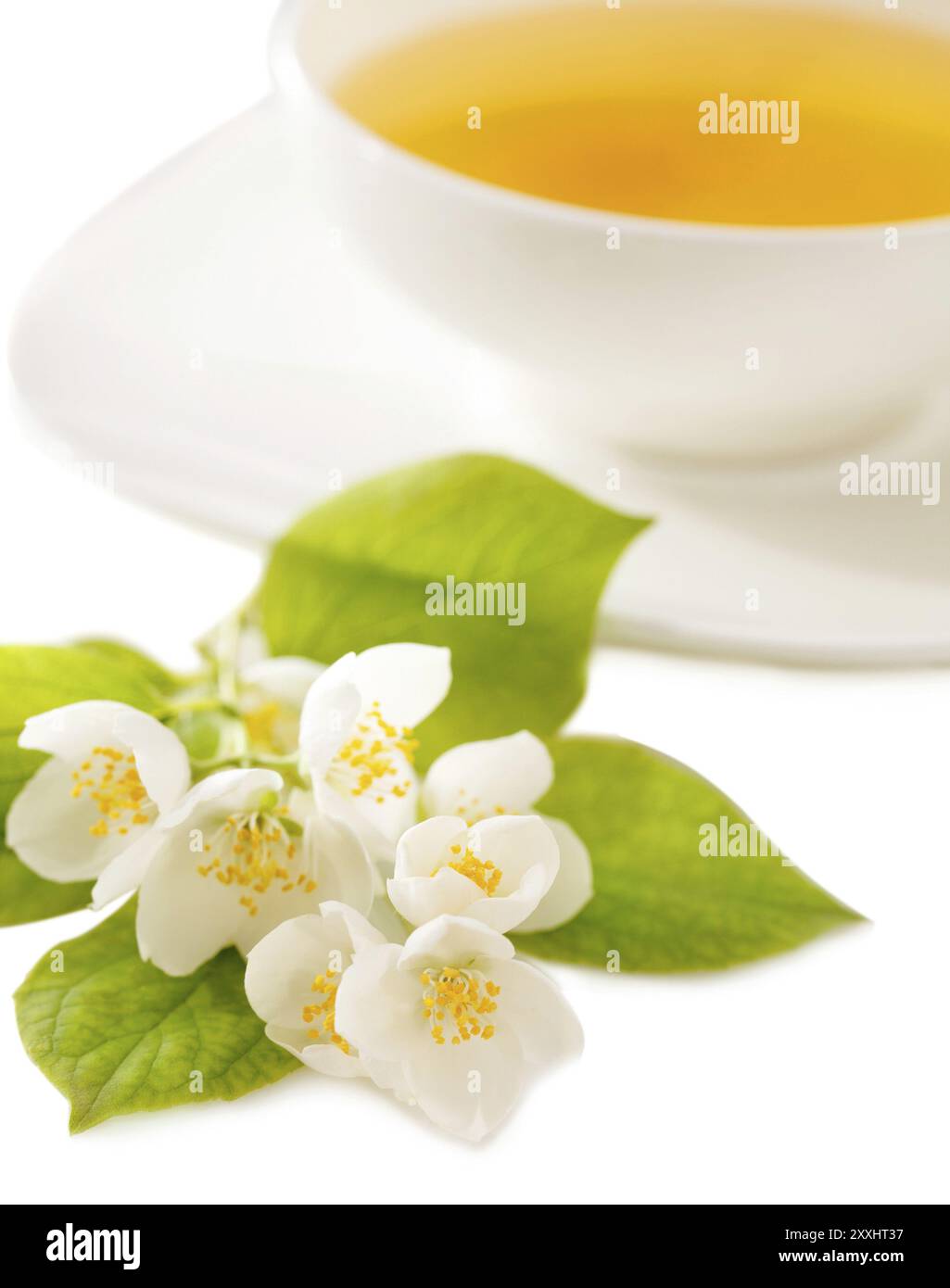 Cup of the jasmin tea isolated on white background Stock Photo - Alamy