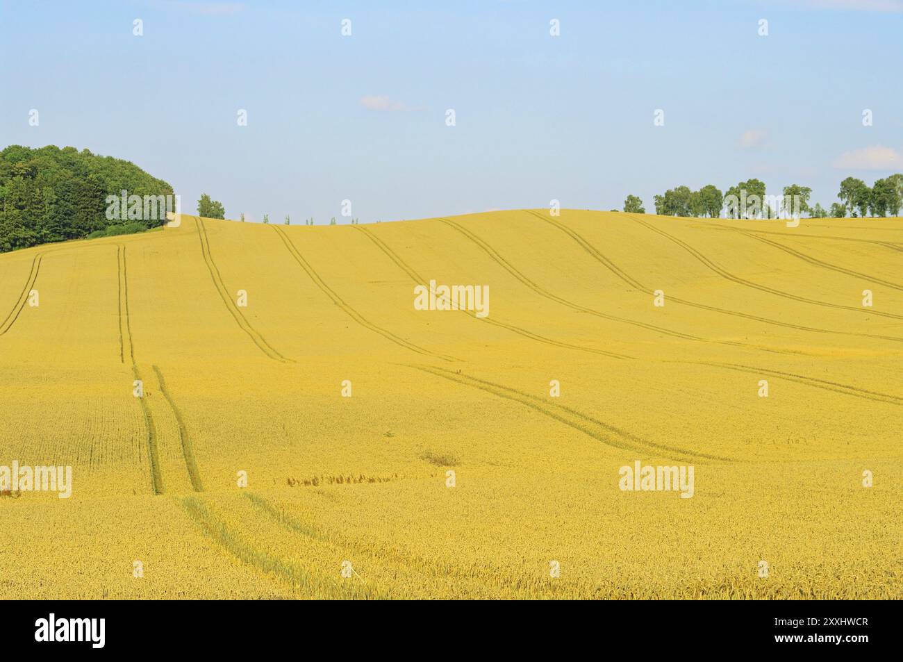 Field, Field 57 Stock Photo - Alamy
