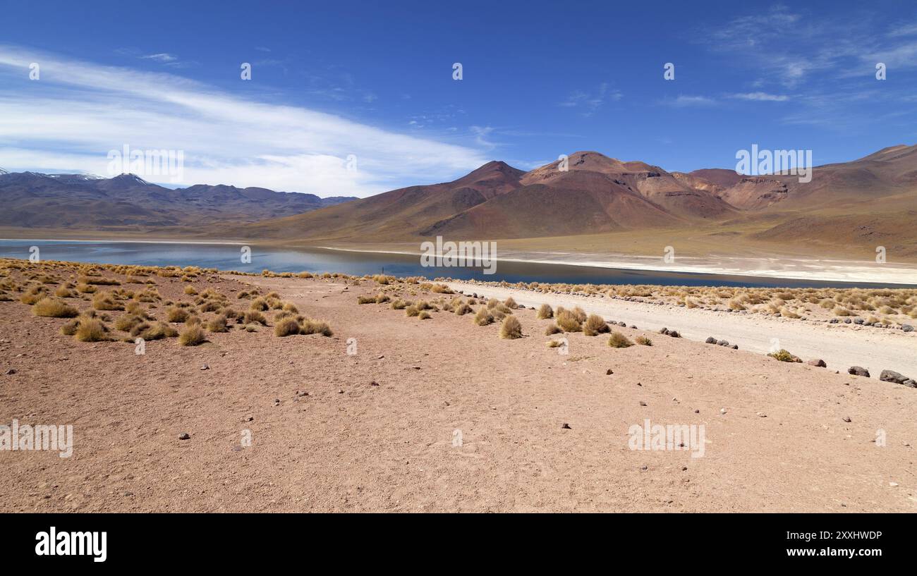 Mountain lake in the Atacama Desert in Chile Stock Photo - Alamy