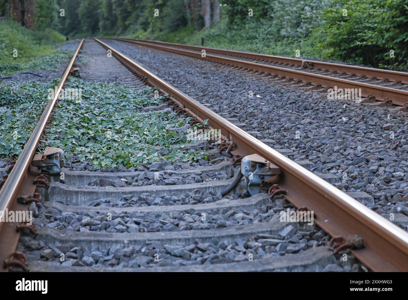 View railway in rural hi-res stock photography and images - Alamy