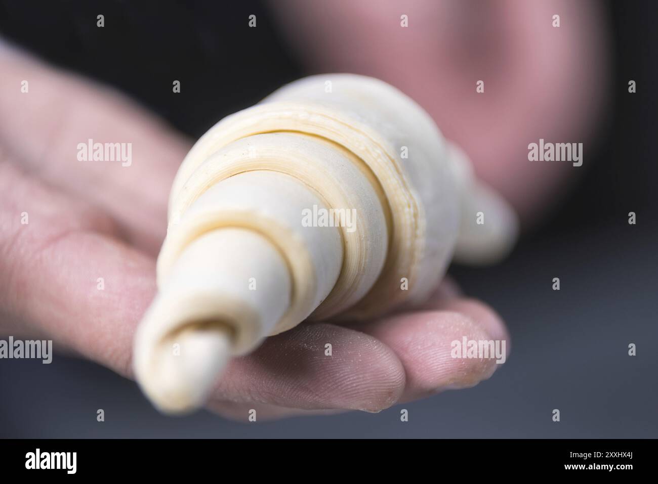 Pastry chef hand showing a fresh uncooked croissant Stock Photo - Alamy