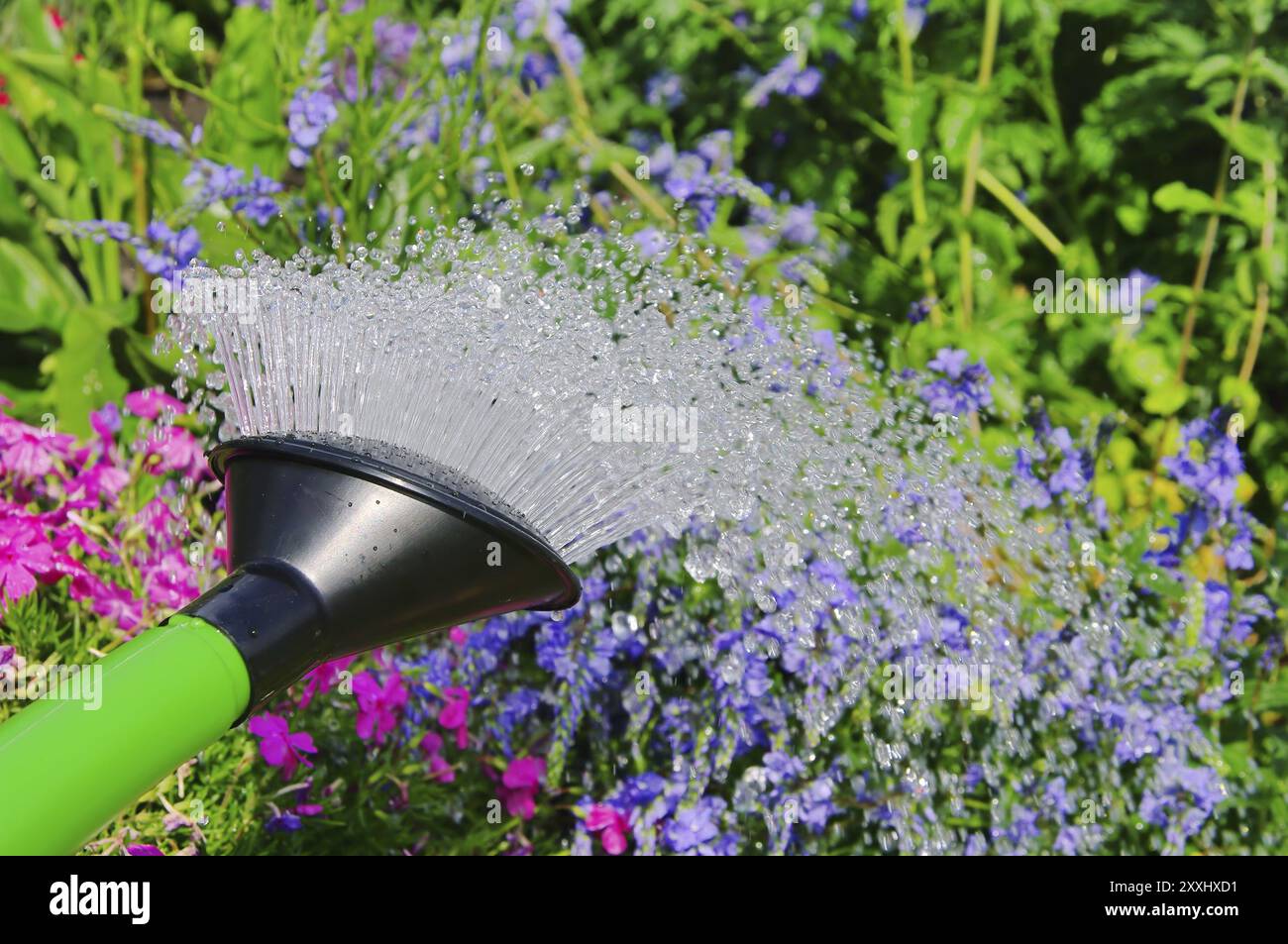 Dry garden border hi-res stock photography and images - Alamy