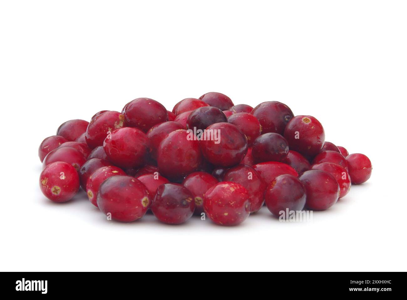 Cranberry plant hi-res stock photography and images - Alamy
