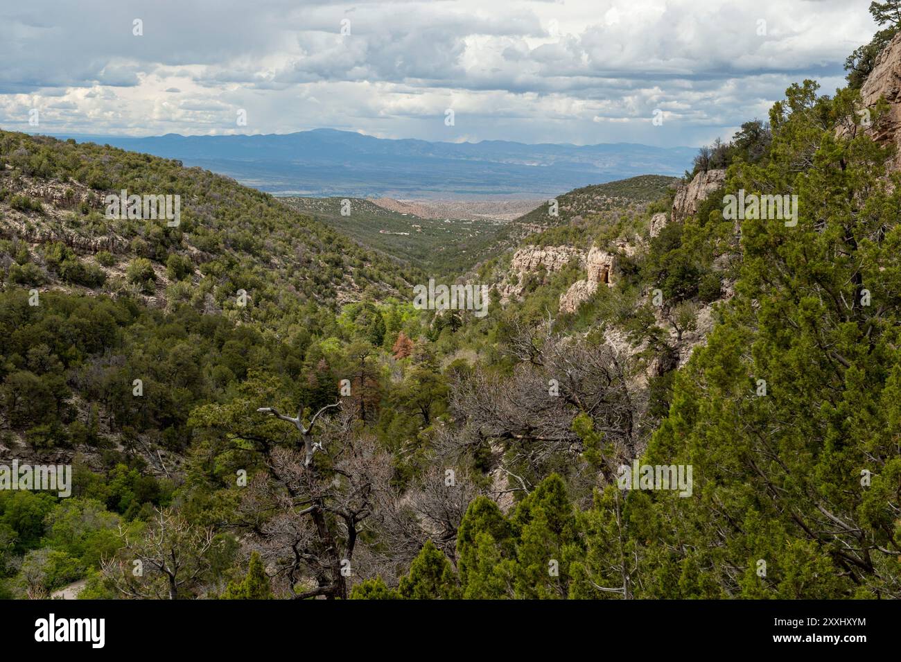 The view looking north down the Palo Duroso Canyon aka Las Huertes ...
