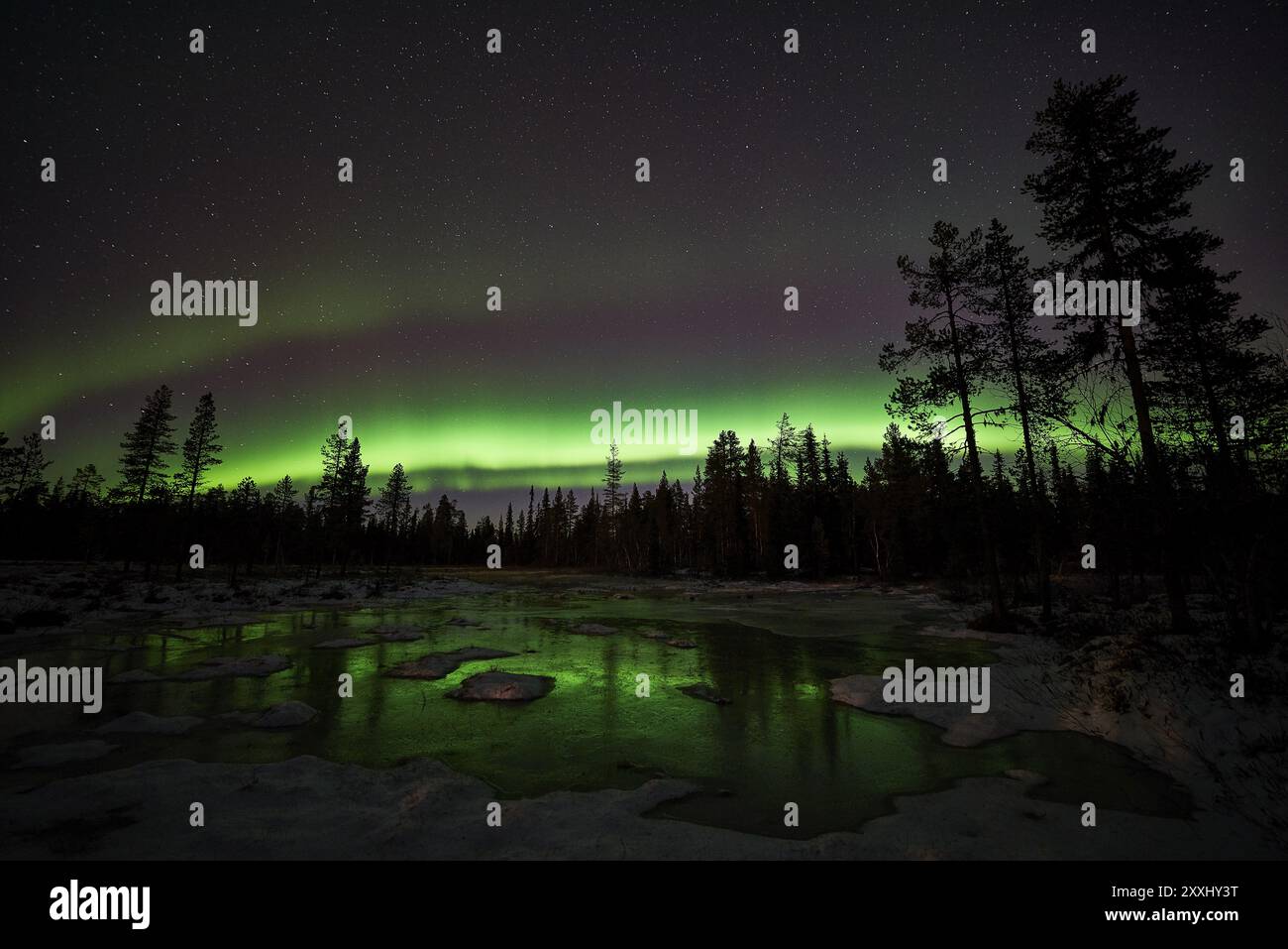Northern Lights (Aurora borealis), Muddus National Park, Laponia World ...
