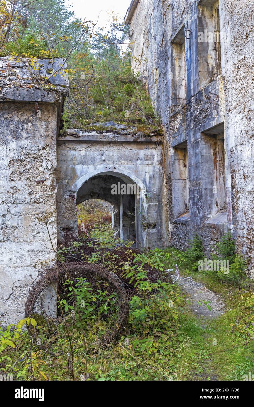 Ruins of Landro Fortress, South Tyrol Stock Photo - Alamy