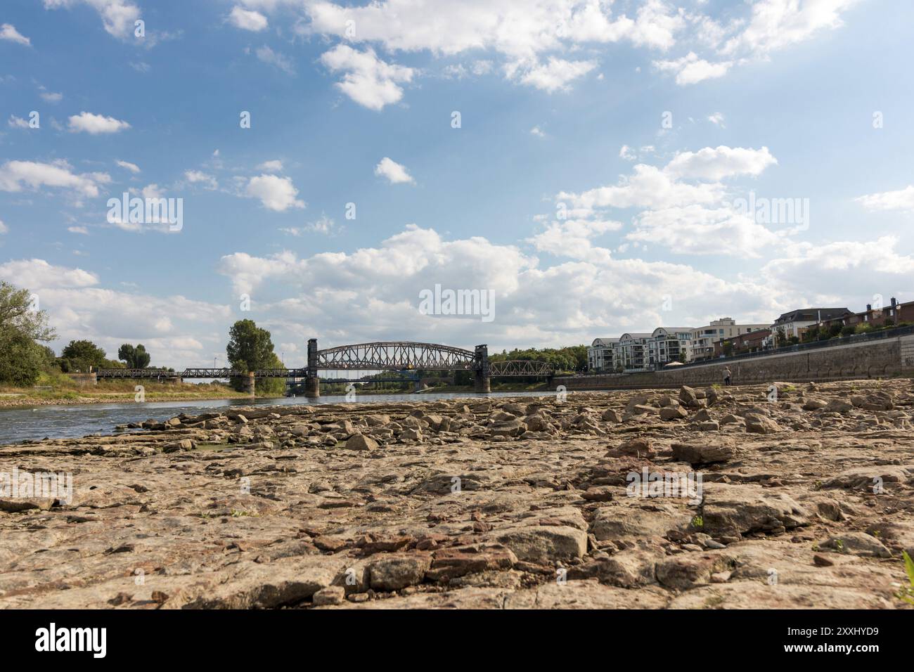 Dried-out riverbed of the Elbe, historic lift bridge, Magdeburg, Saxony ...