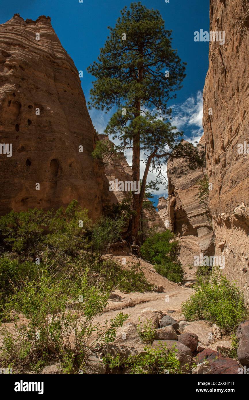 The slot canyon trail in the Kasha-Katuwe Tent Rocks National Monument ...