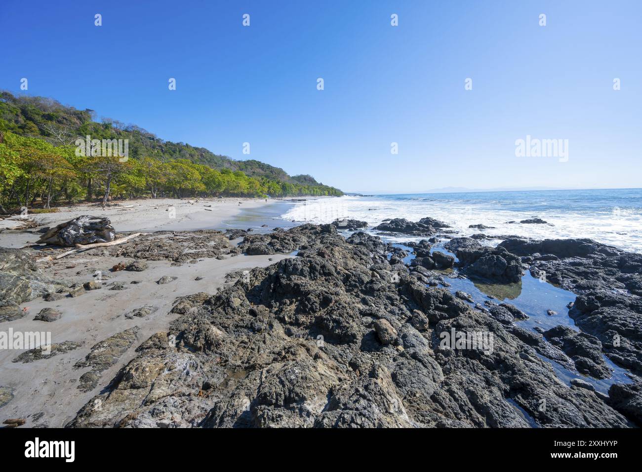 Tropical sandy beach with palm trees, Playa Montezuma, Montezuma ...