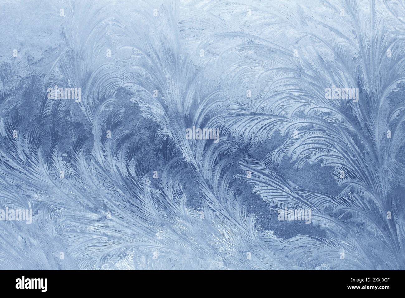 Ice patterns on winter glass Stock Photo - Alamy