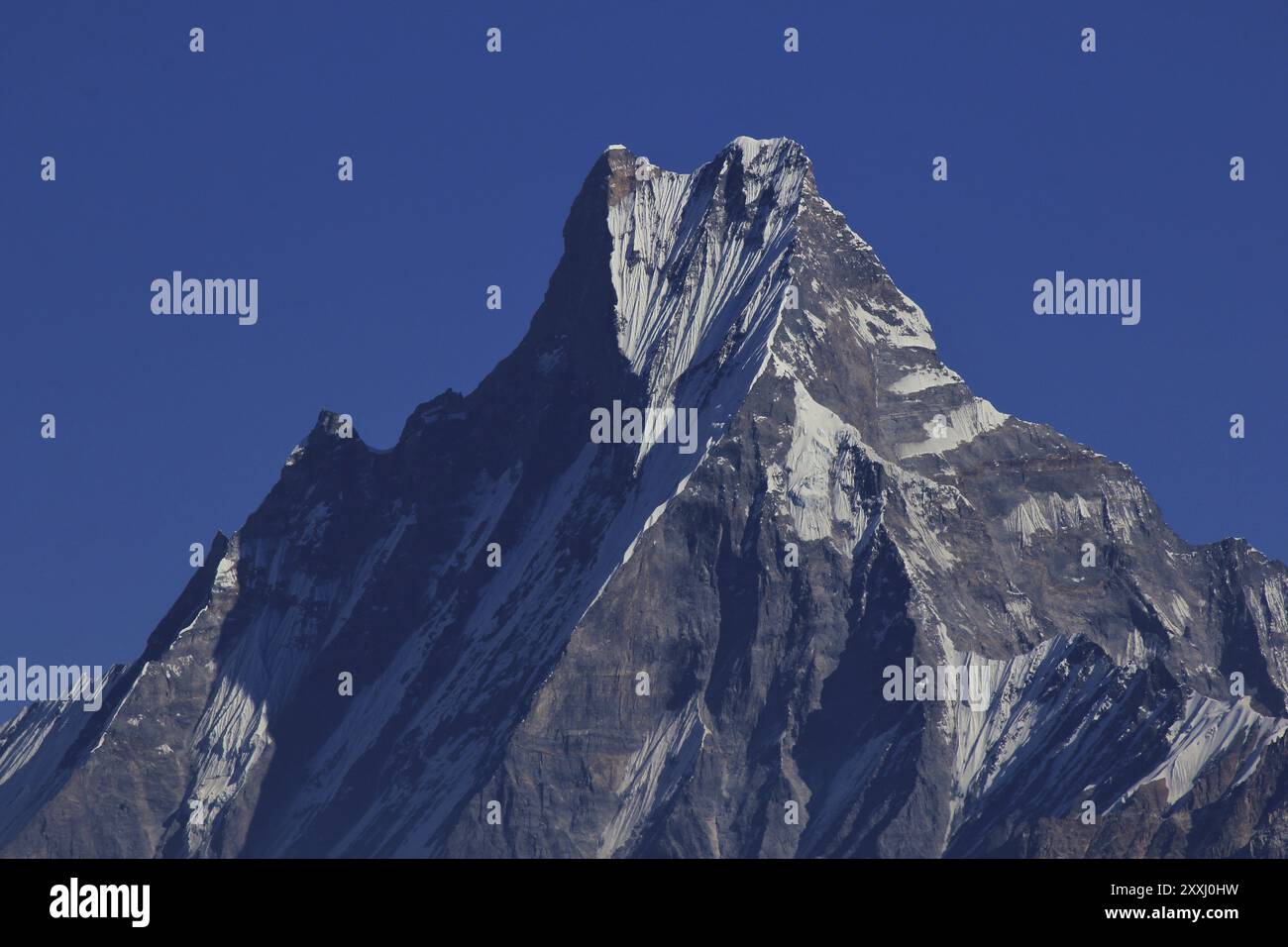 Mount Machapuchare, famous mountain of the Annapurna range, Nepal. View ...