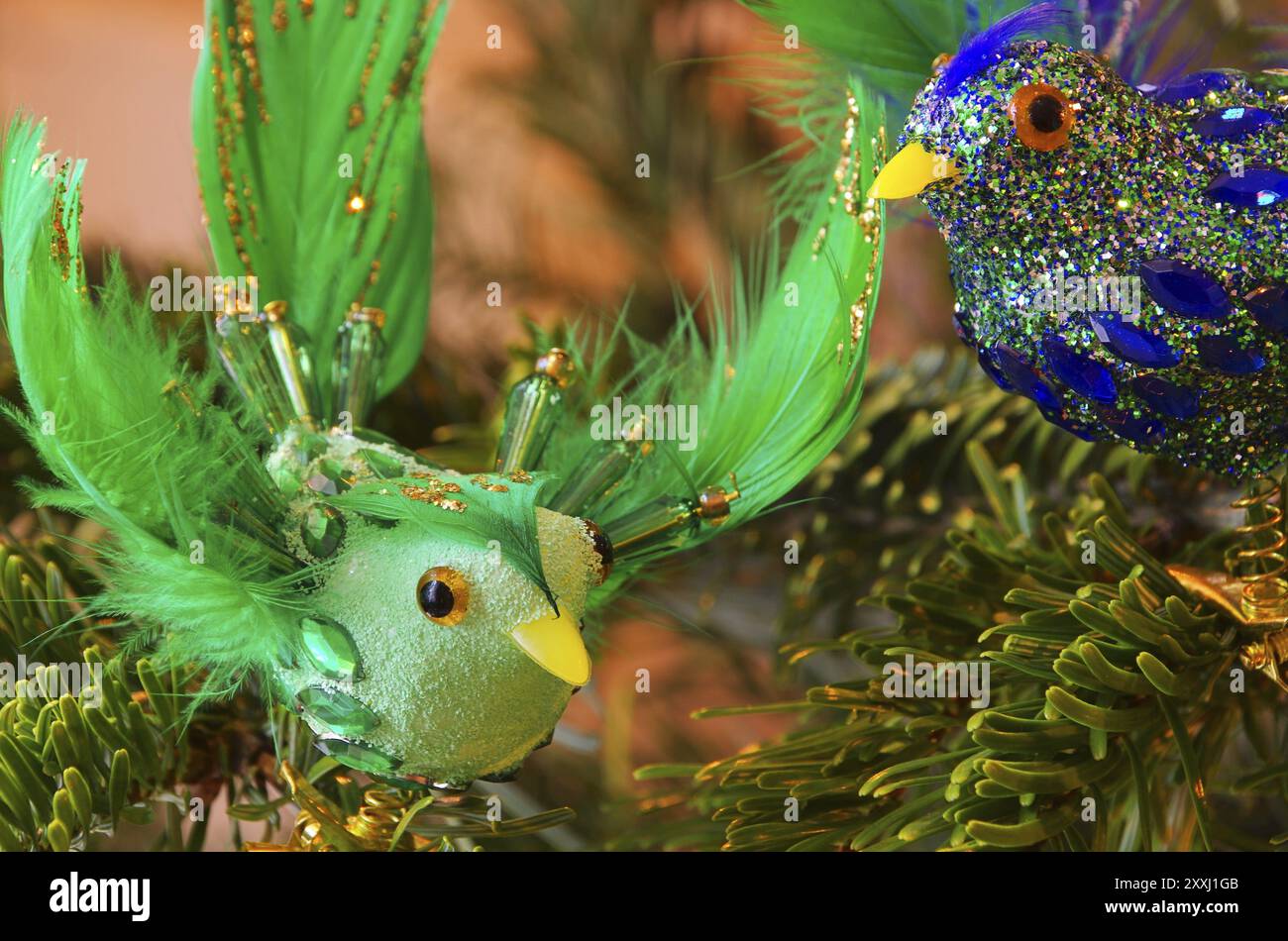 Ornamental bird hi-res stock photography and images - Alamy