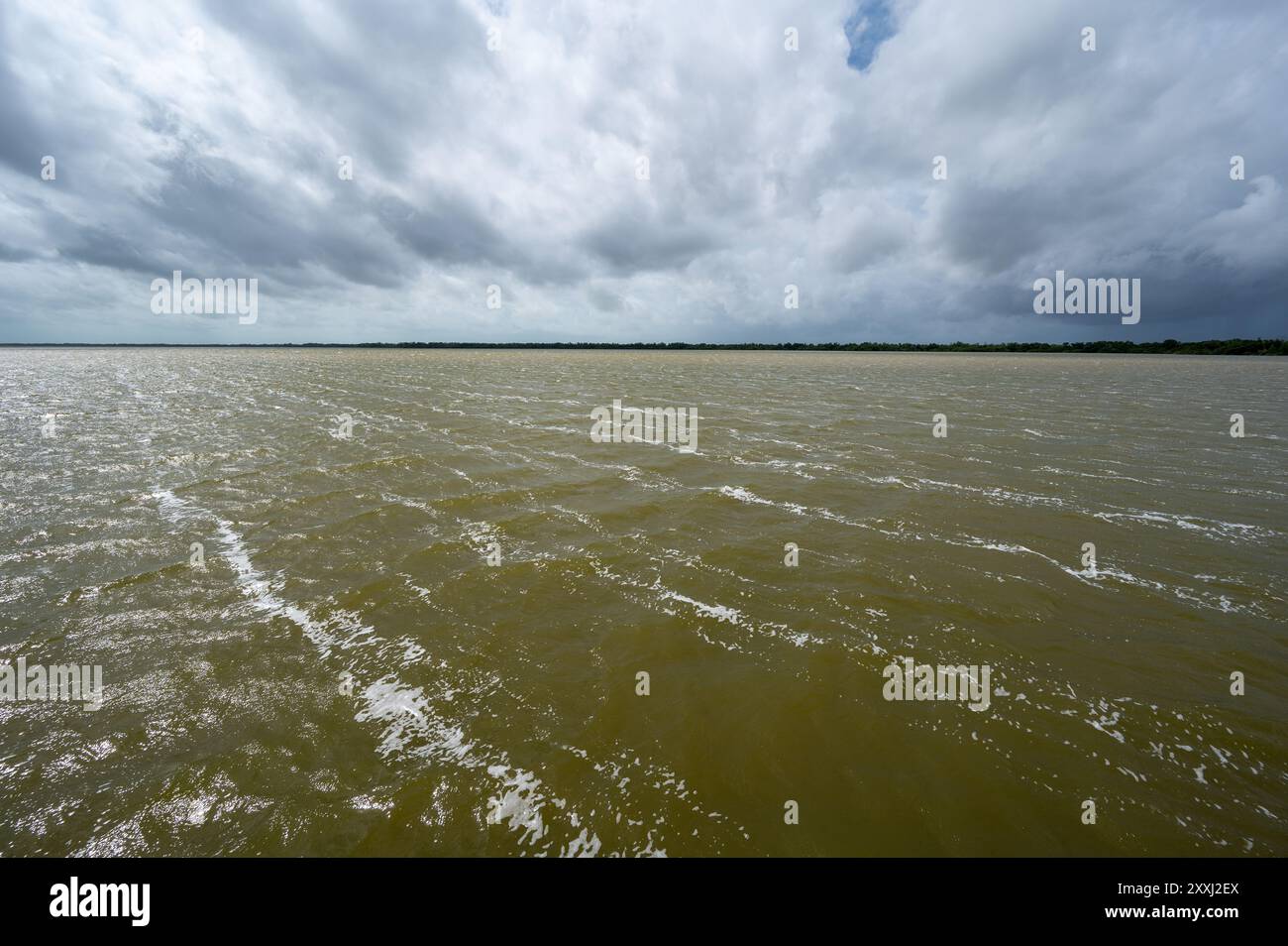 Early weather effects of Tropical Storm Debby in Everglades National ...