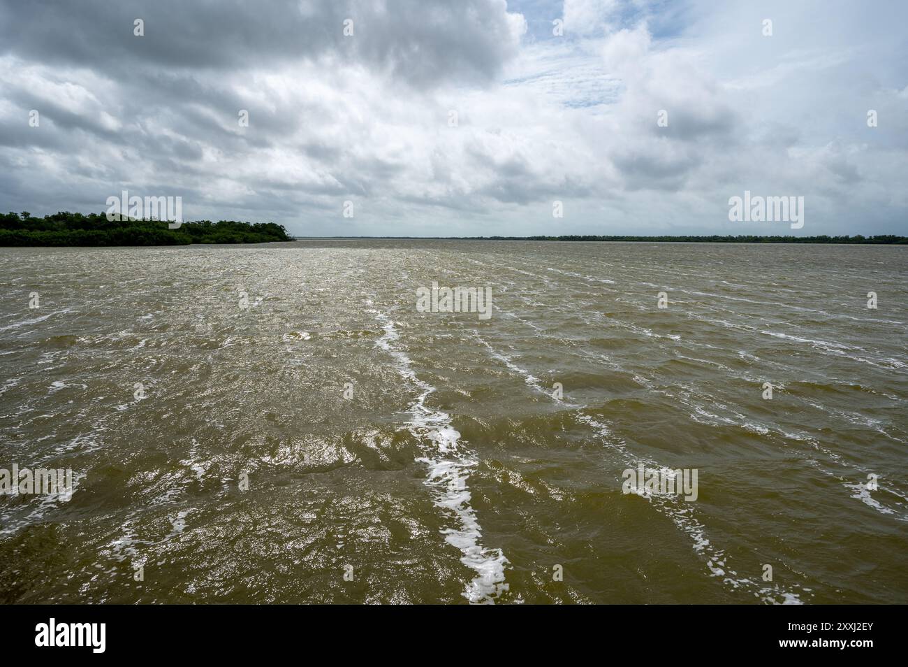 Early weather effects of Tropical Storm Debby in Everglades National ...