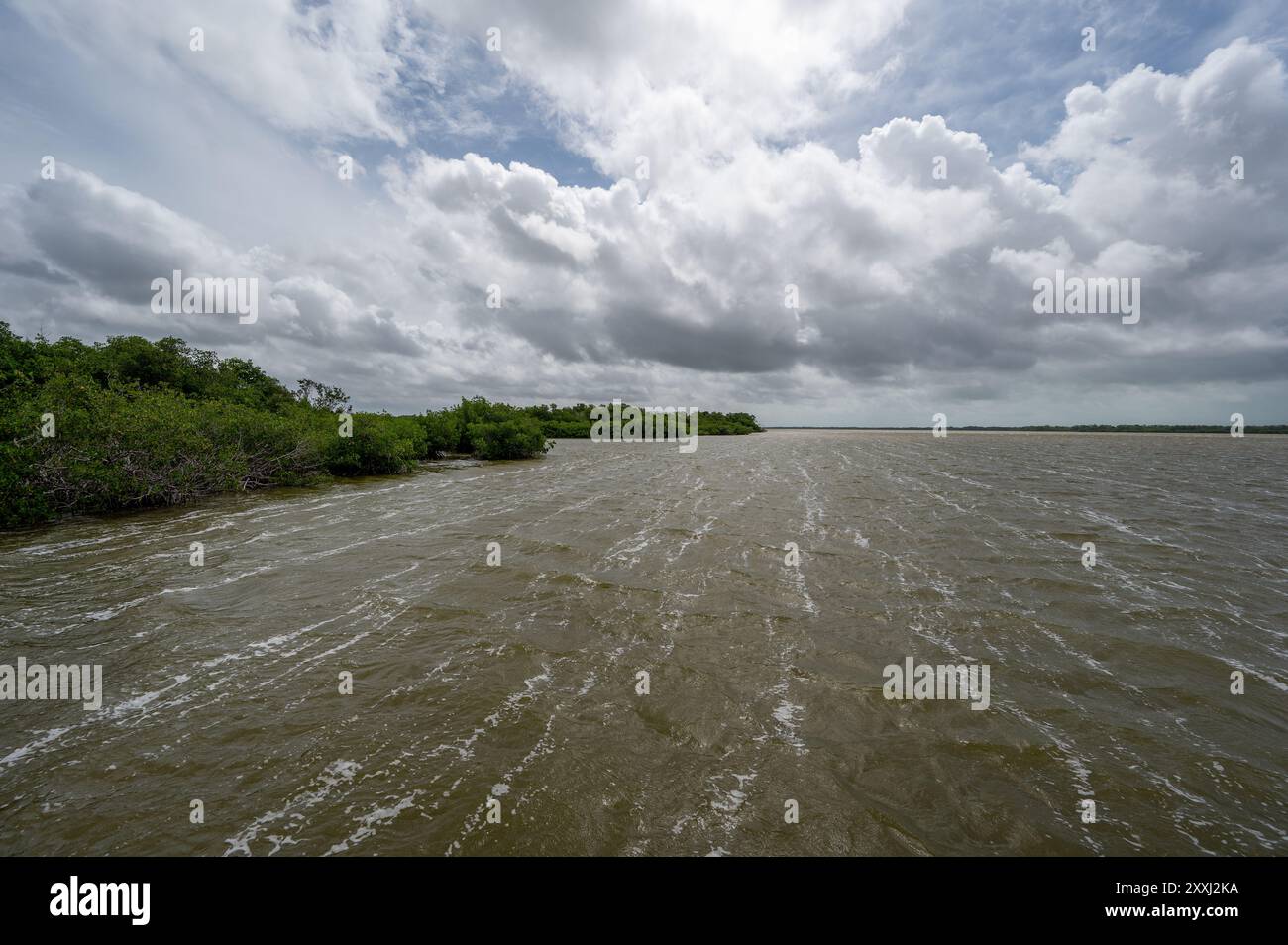 Early weather effects of Tropical Storm Debby in Everglades National ...