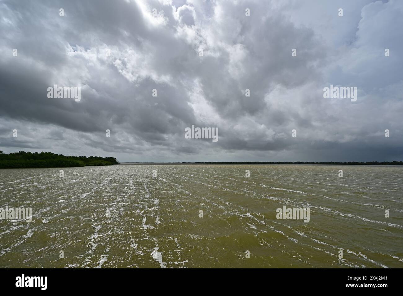 Early weather effects of Tropical Storm Debby in Everglades National ...