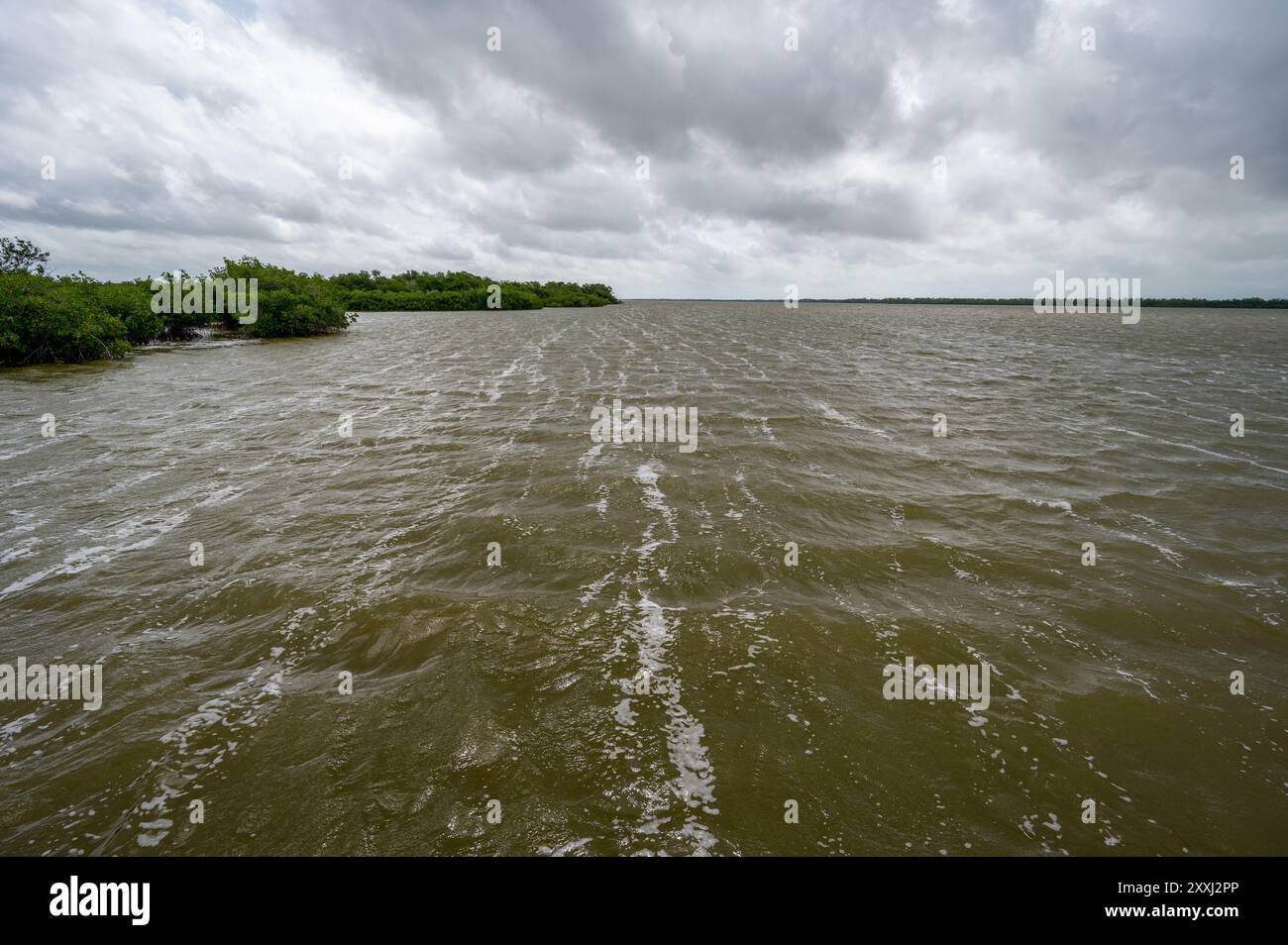 Early weather effects of Tropical Storm Debby in Everglades National ...