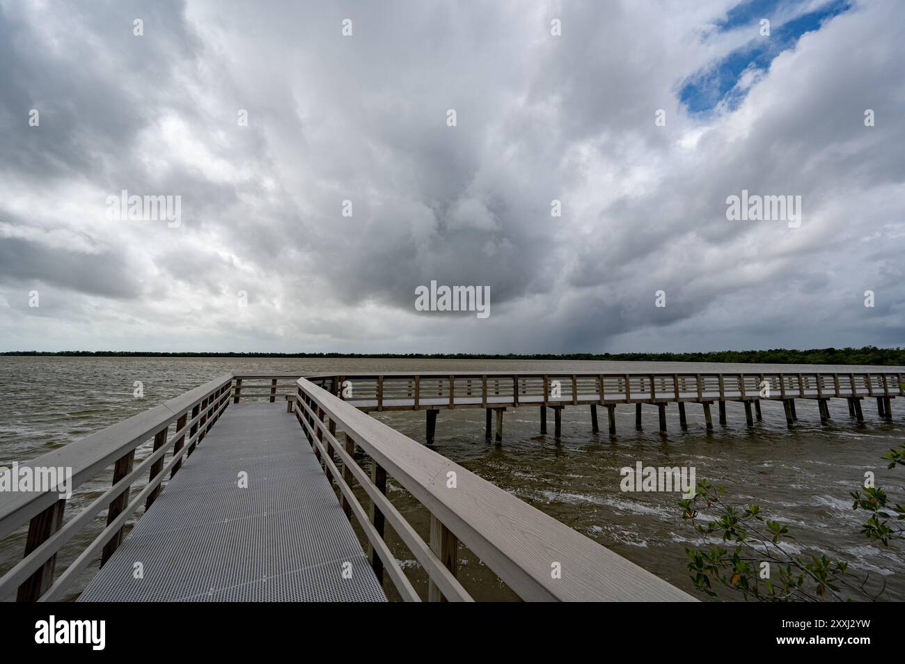 Early weather effects of Tropical Storm Debby in Everglades National ...