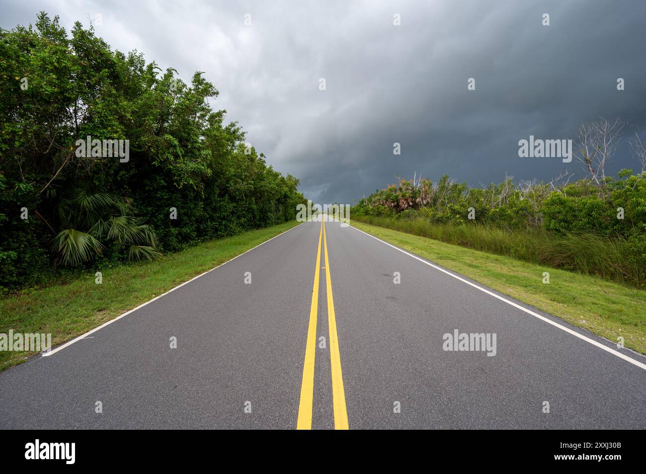 Everglades National Park main park road under storm clouds of Tropical ...