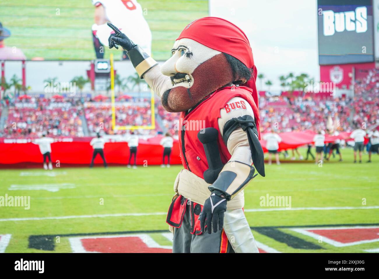 Tampa Bay, Florida, USA, August 33, 2024, Miami Dolphins face Tampa Bay ...