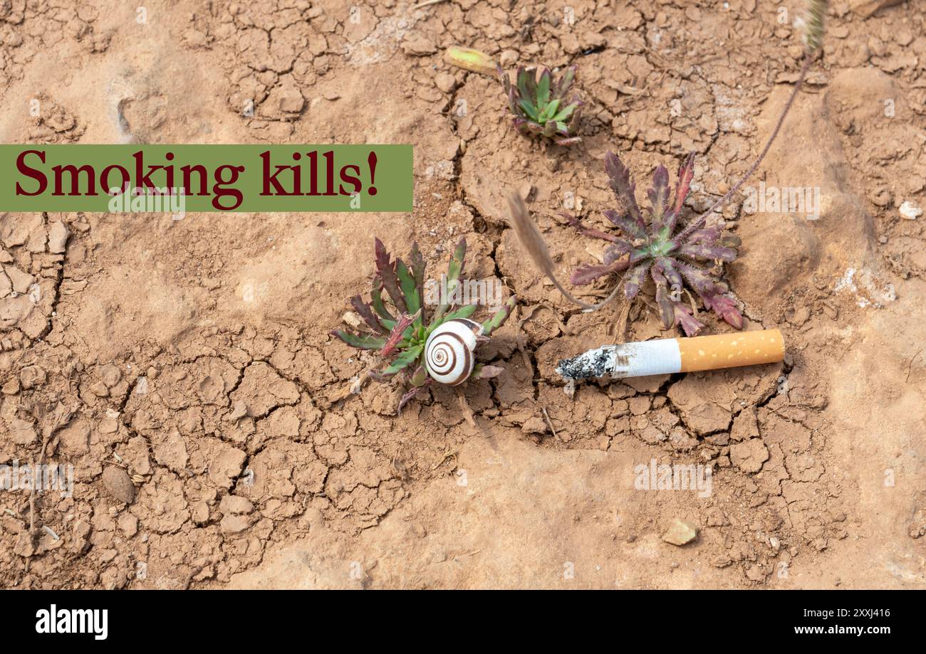 Smoking snail hi-res stock photography and images - Alamy