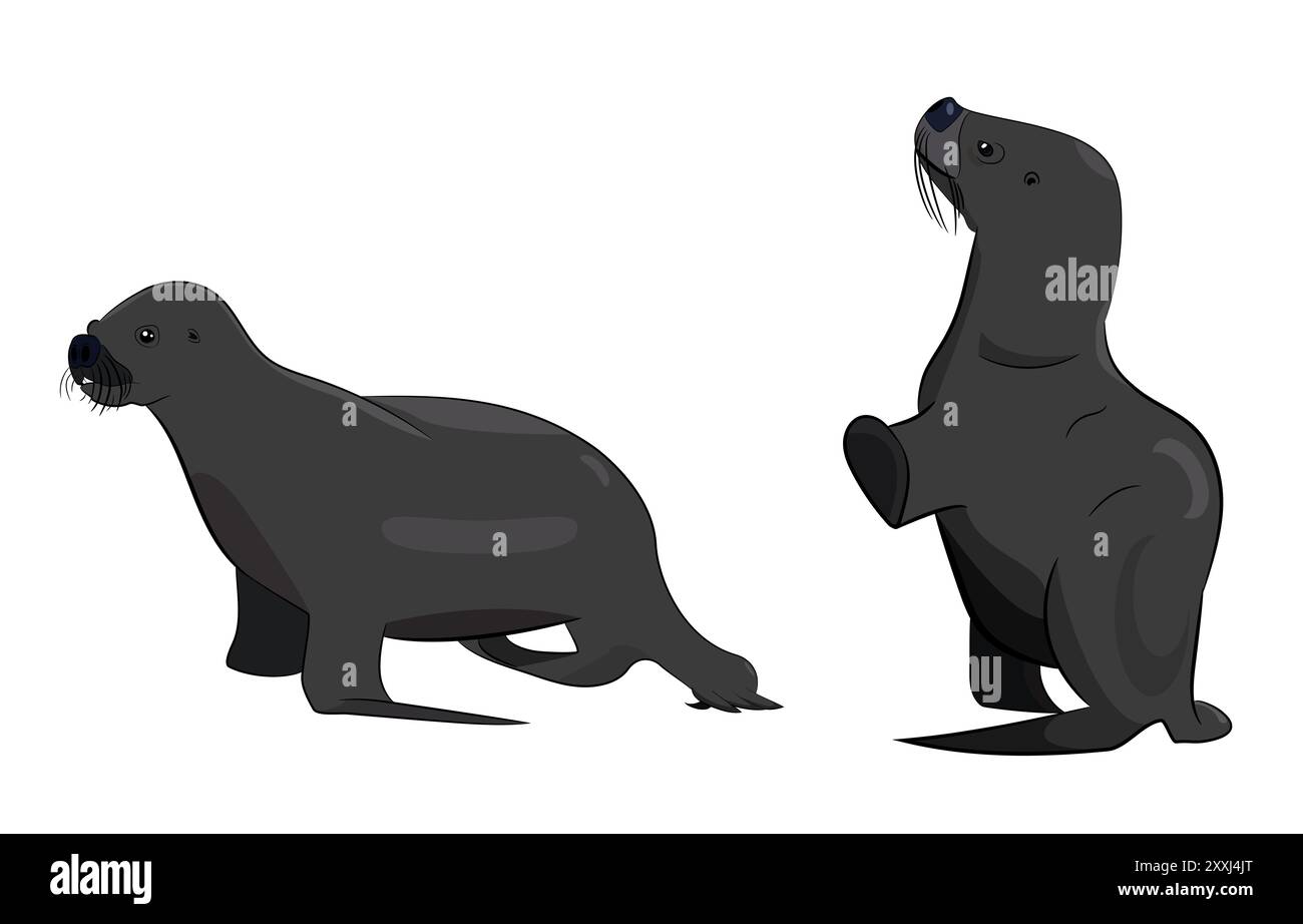 Cartoon illustration funny grey seal Cut Out Stock Images & Pictures ...