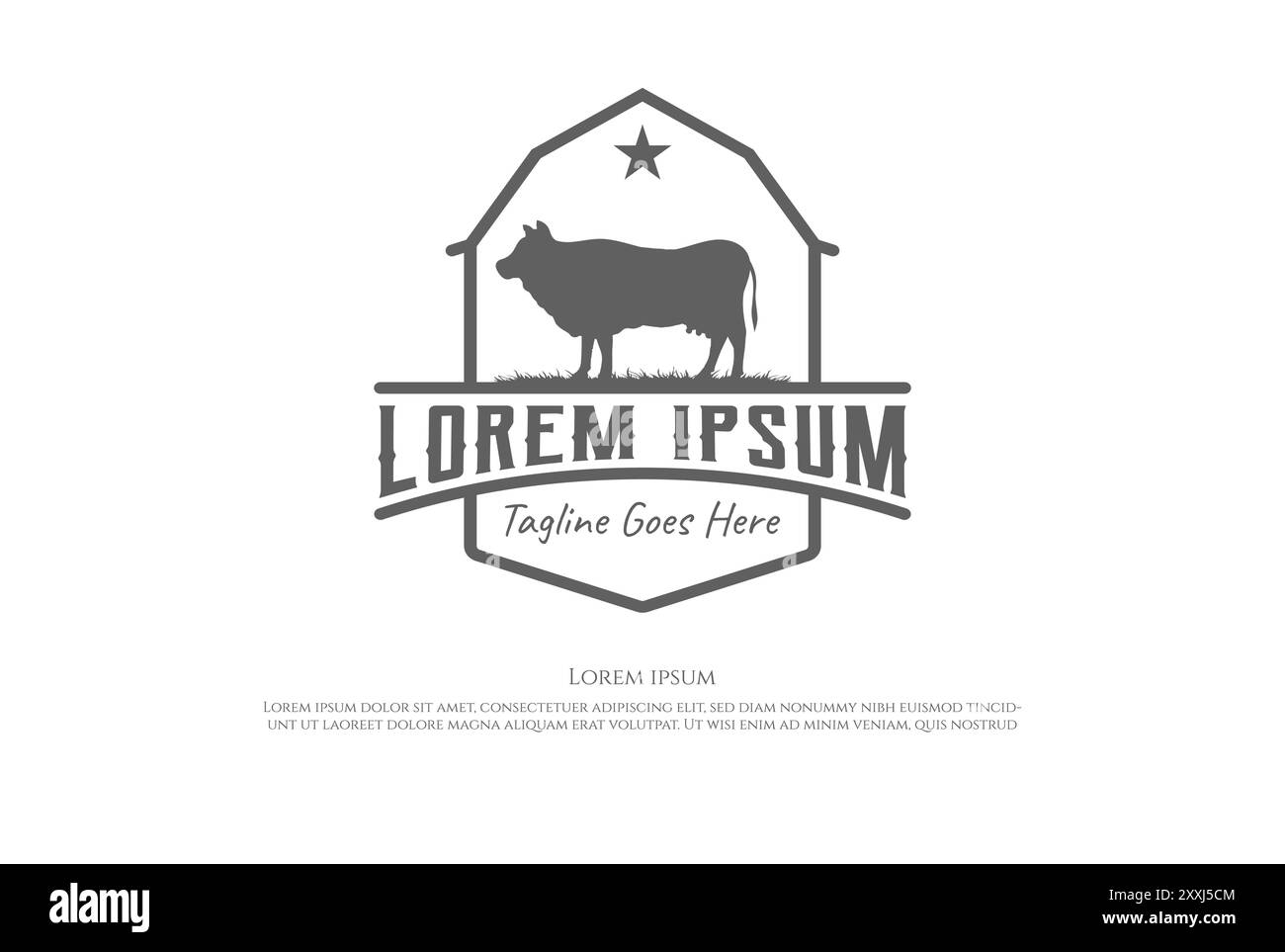 Retro Vintage Angus Cow with Barn for Cattle Livestock Logo Design Vector Stock Vector Image ...