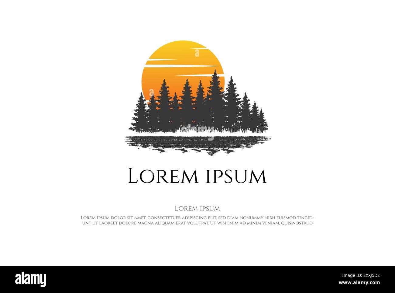 Sunset Sunrise Pine Cedar Spruce Conifer Larch Cypress Evergreen Fir ...