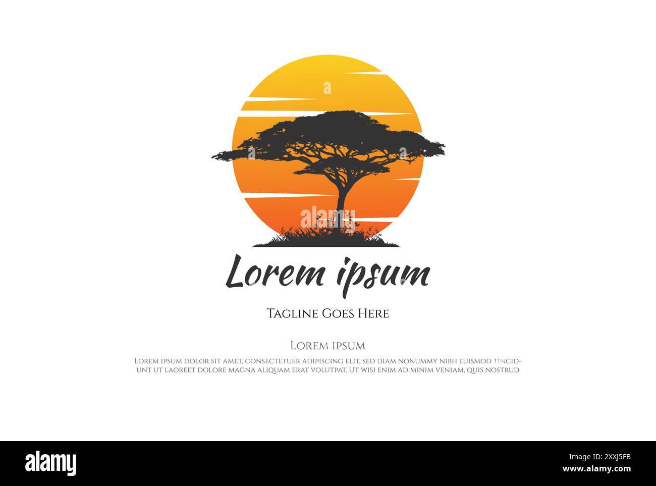 Sunset Sunrise African Acacia Tree Forest Logo Design Vector Stock ...