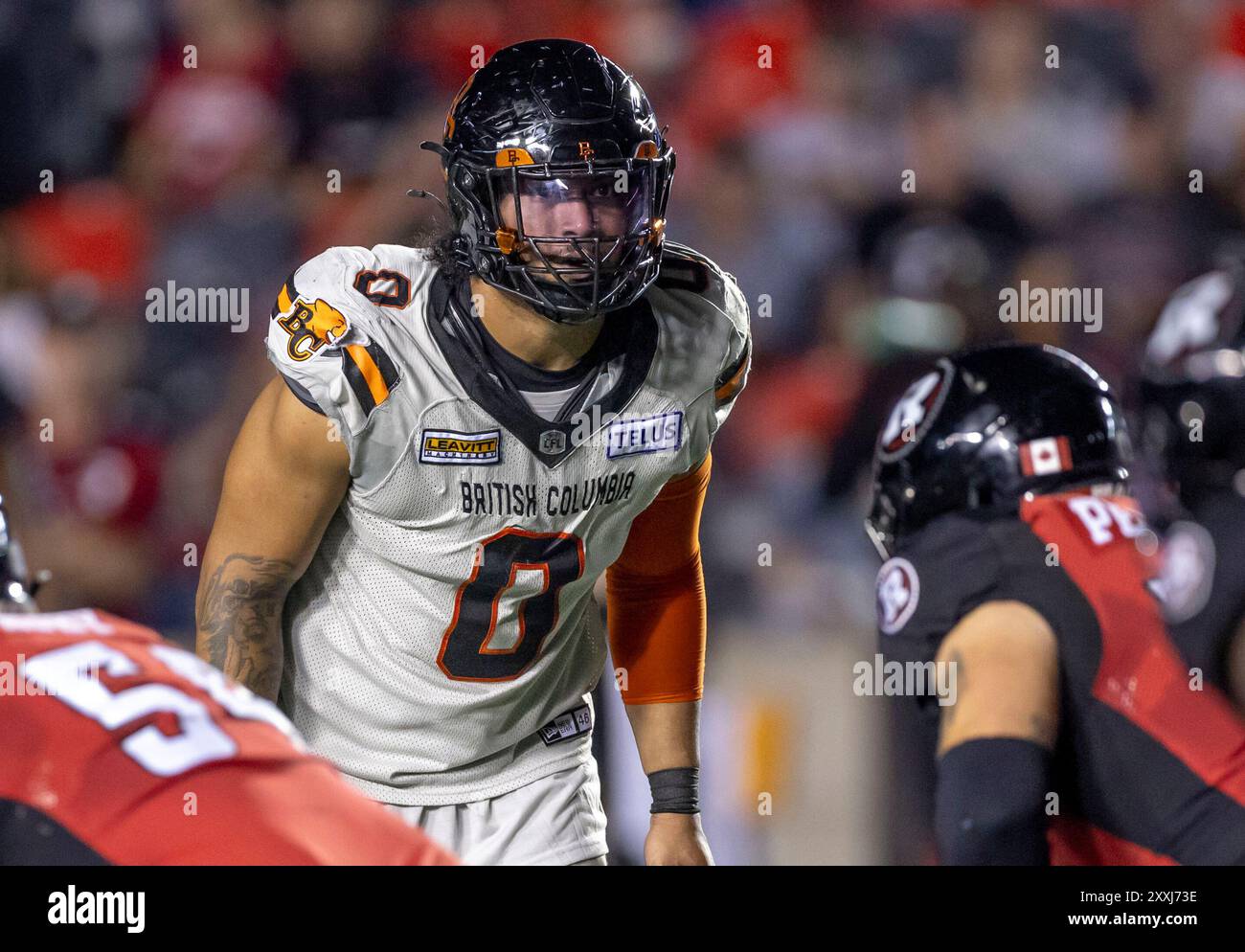 Sione teuhema bc lions 2024 hi-res stock photography and images - Alamy